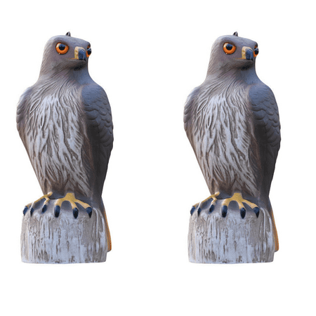 HISRFO Large Realistic Hawk Eagle Scarecrow Garden Bird Repellent Anti ...