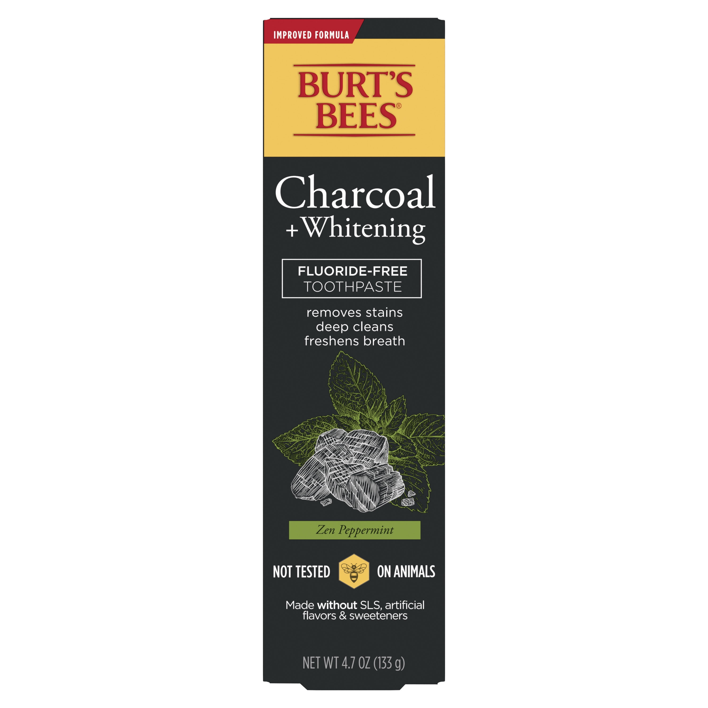 Burt's Bees Toothpaste, Natural Flavor, Charcoal Fluoride-Free ...