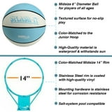 Dunn Rite Junior Hoop Portable Pool Basketball Hoop Stainless Steel Rim ...