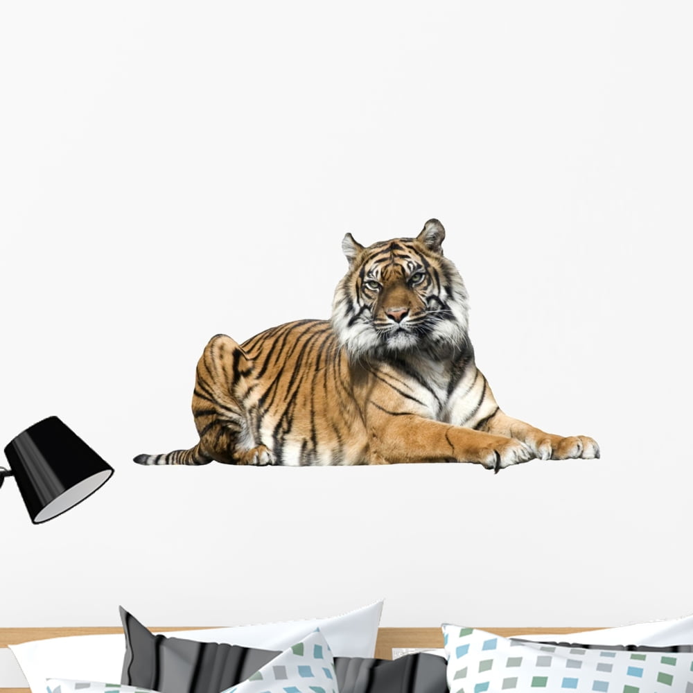 Cut out Tiger Wall Decal by Wallmonkeys Peel and Stick Graphic (36 in W ...