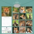 The Gifted Stationary 2025 Square Wall Calendar, Foxes, 16-Month ... The Gifted Stationary 2025 Square Wall Calendar, Foxes, 16-Month ...