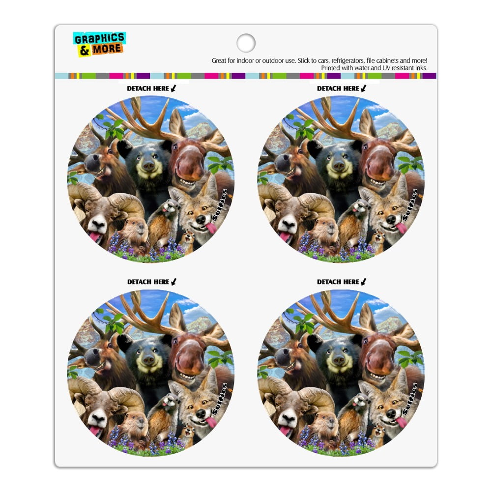 Rocky Mountain Animals Selfie Bear Moose Elk Ram Beaver Fox ...