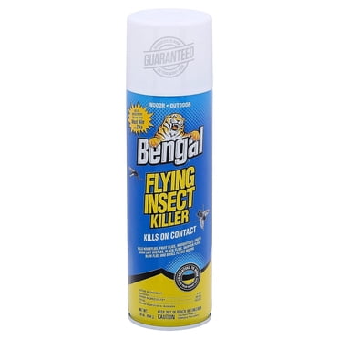 Bengal Crawling Insect Killer, Indoor and Outdoor Aerosol Ant and ...