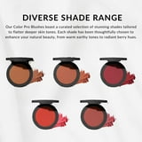 Flori Roberts Color Pro Powder Blush - Walmart.com