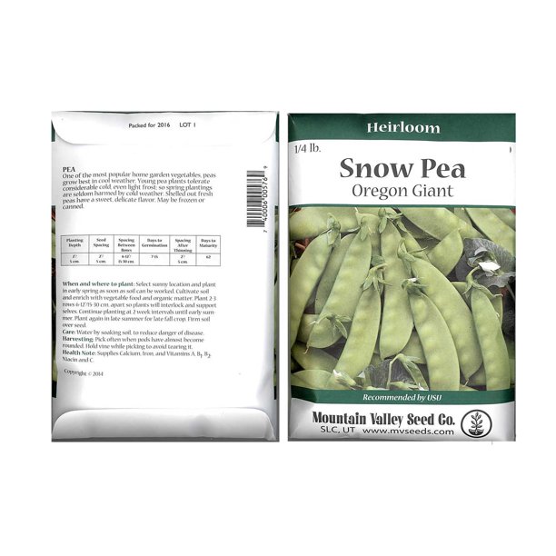 Snow Pea Garden Seeds - Oregon Giant - 26 Gram Seed Packet - Non-GMO ...