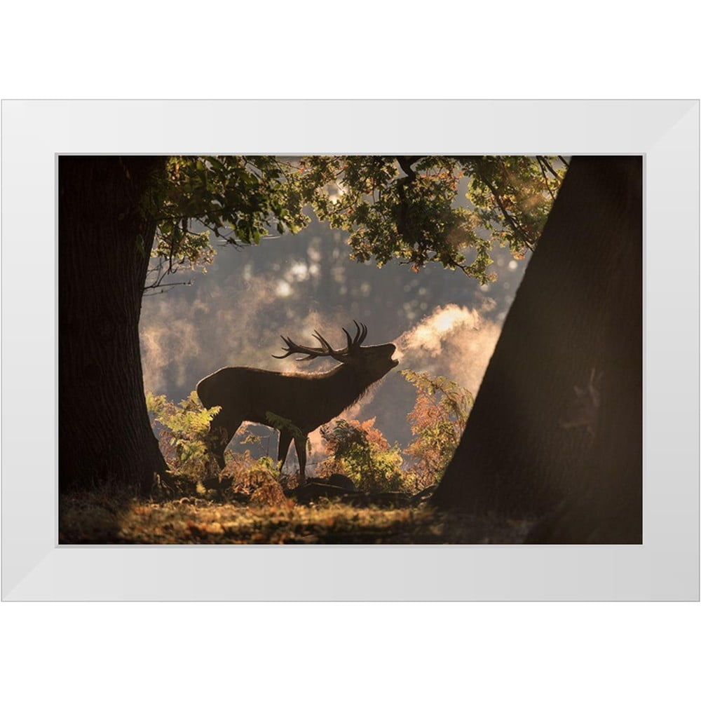 Saberi, Alex 14x11 White Modern Wood Framed Museum Art Print Titled ...