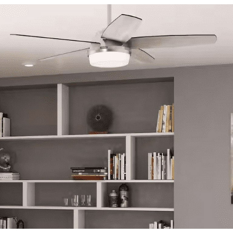 Hunter Avia Ceiling Fan Reviews | Shelly Lighting