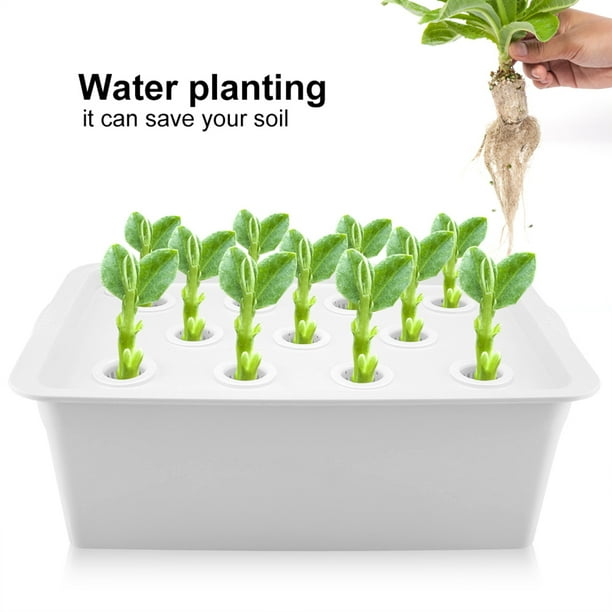 Hydroponic Soilless Culture Box Cultivation Box 11 Holes Hydroponic ...