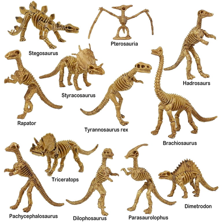 Dinosaur Skeleton Chart