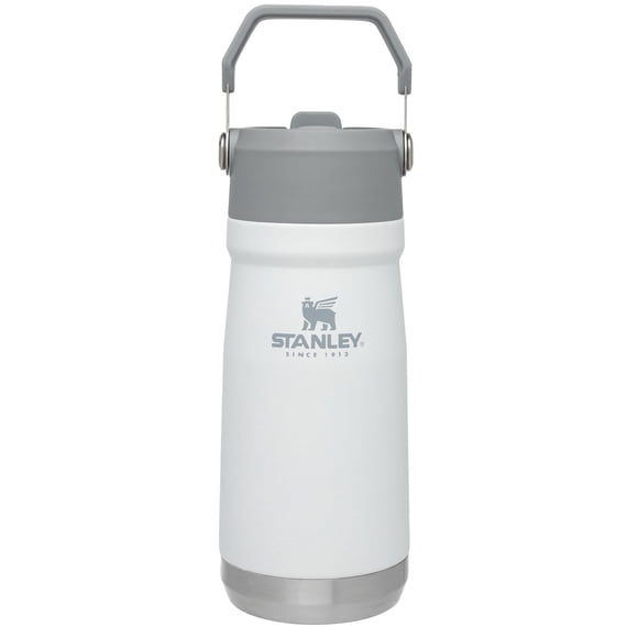Stanley Bottle | Walmart Canada