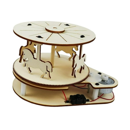 Multifunction Wooden Science Experiment Set Learning Toy Carousel Stem ...