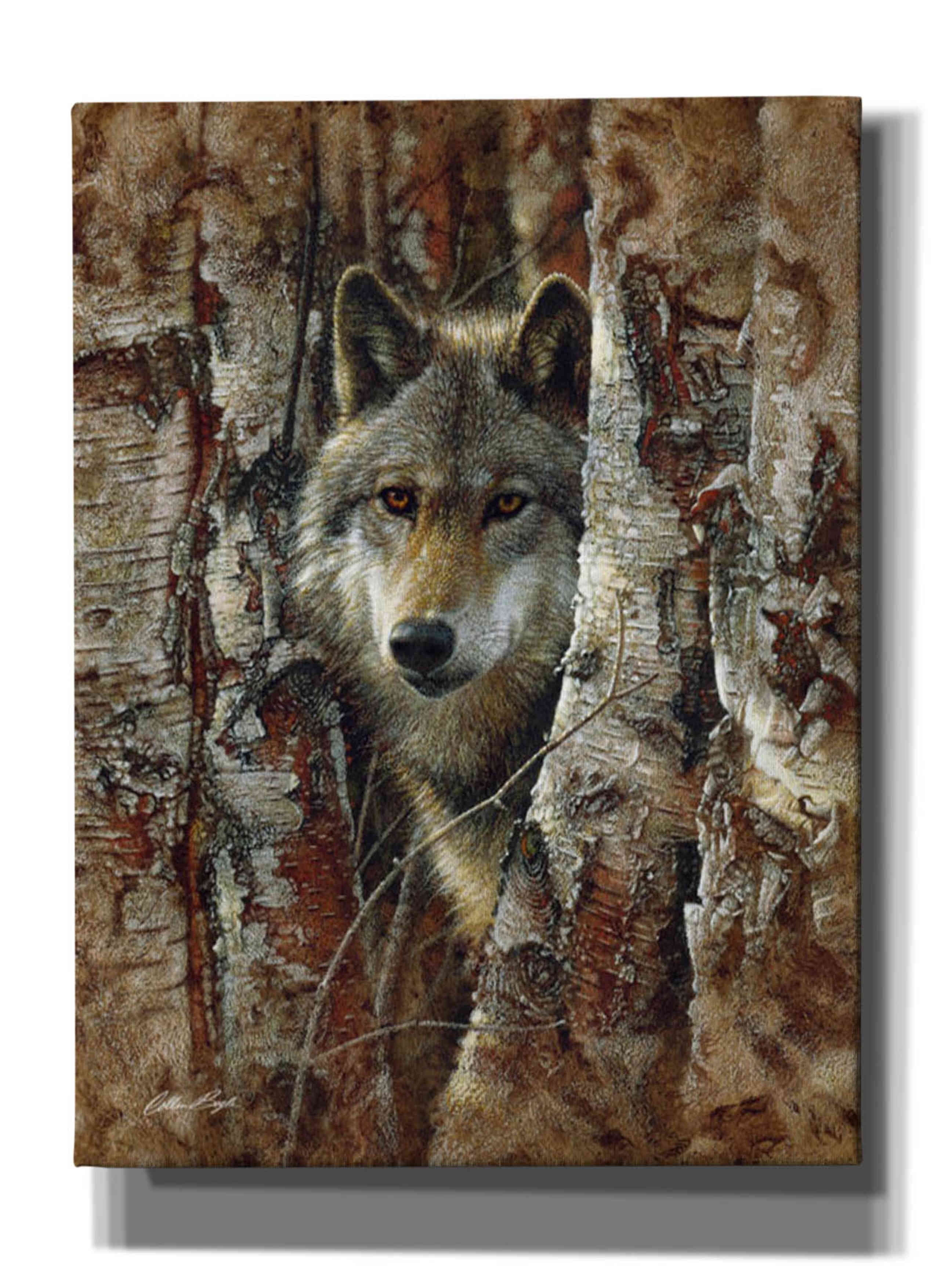 Epic Graffiti 'Wood Land Spirit' by Collin Bogle, Canvas Wall Art, 40 ...