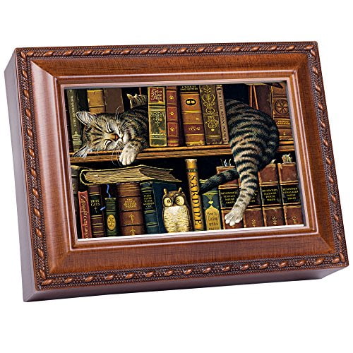 Cat Sleeping in Library Wooden Music Box That's What Friends are for ...