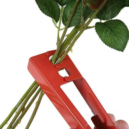 Junmo 1 Pc Iron Garden Tool Florist Metal Garden Flower Rose Thorn Stem ...