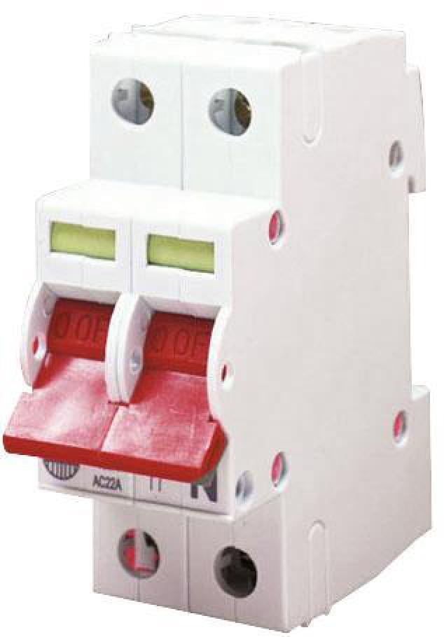 WYLEX - 100A 2 Pole Isolator Switch - Walmart.com