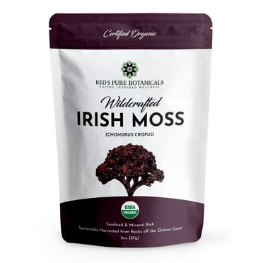 True Sea Moss Irish Sea Moss Gel, Vegan, Organic, Antioxidant, Thyroid ...