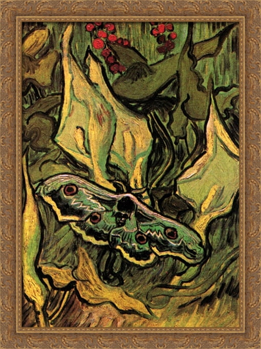 Great Peacock Moth 28x38 Large Gold Ornate Wood Framed Canvas Art by ...