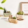 5.5 Inch Ceramic Succulent Pot Planter with Drainage Hole Set of 3 ...
