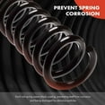 2pcs Rear Side Coil Spring Set For Ford Escort Mazda Protege Mercury ...