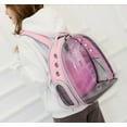 Astronaut Capsule Cat Backpack, Pink - Walmart.com