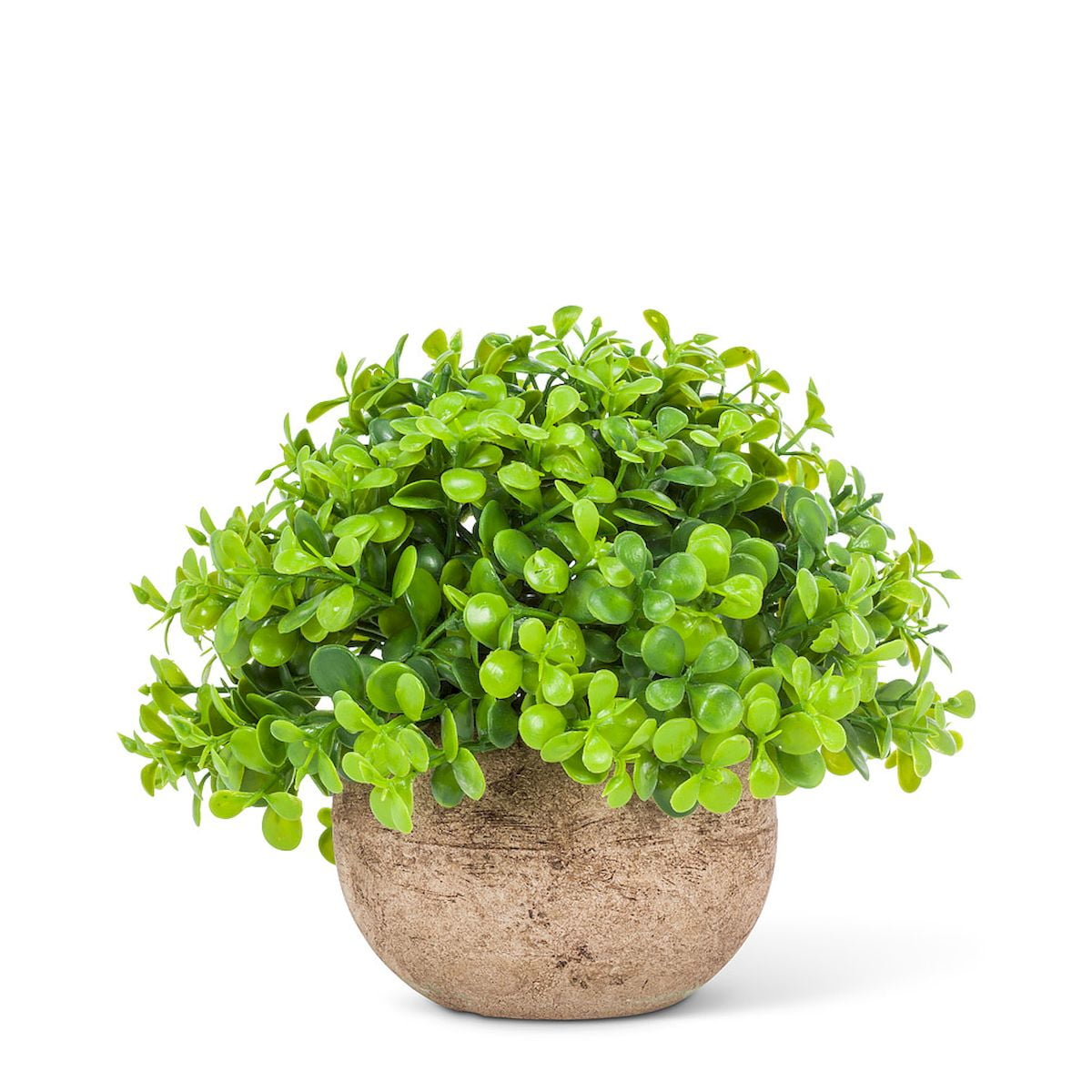 Set of 6 Small Teardrop Leaf Plant Pot - Walmart.com