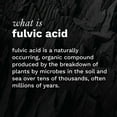 blk. Fulvic Enriched Bottled Water 16.9oz / 500ml (12 Pack) + 2oz ...