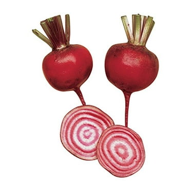Chioggia Beet Seeds - 1 Oz - Non-GMO, Heirloom - Vegetable Garden ...