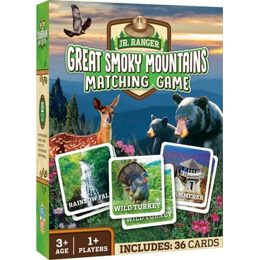 MasterPieces Officially Licensed National Parks Matching Game for Kids ...