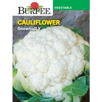 Burpee Pechay Pak Choi Chinese Cabbage Vegetable Seed, 1-Pack - Walmart.com