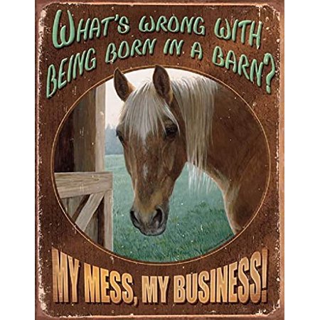 Wild Wings Tin Sign - Whats Wrong with Being Born in The Barn | Walmart ...