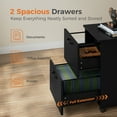 Gianna 2-Drawer Rolling File Cabinet with Lockable Wheels, Printer ...