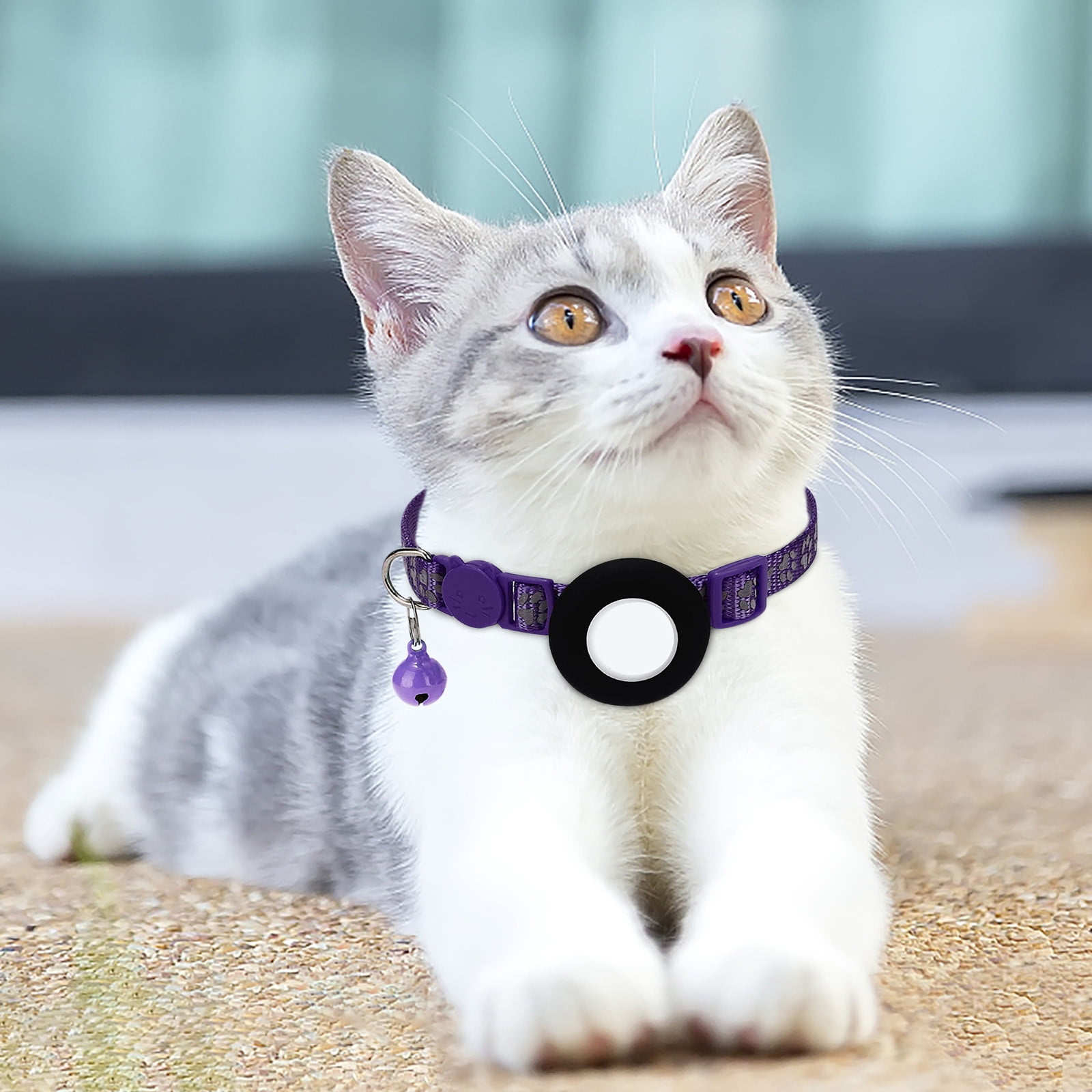 XMMSWDLA Party Decorations Collar with Bell Reflective Collar Address ...