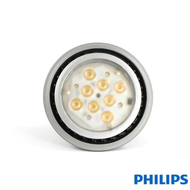 Philips Enduraled A Style Philips MyLiving Clockwork LED Spot