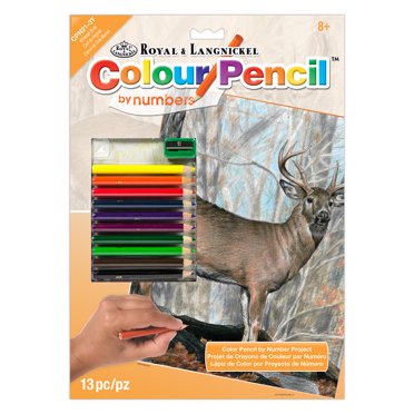 Color Pencil By Number Kit 8.75"X11.75"-Sepia Owl - Walmart.com