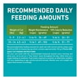 Purina ONE +Plus Indoor Advantage Salmon, Dry Cat Food 1.8kg - Walmart.ca