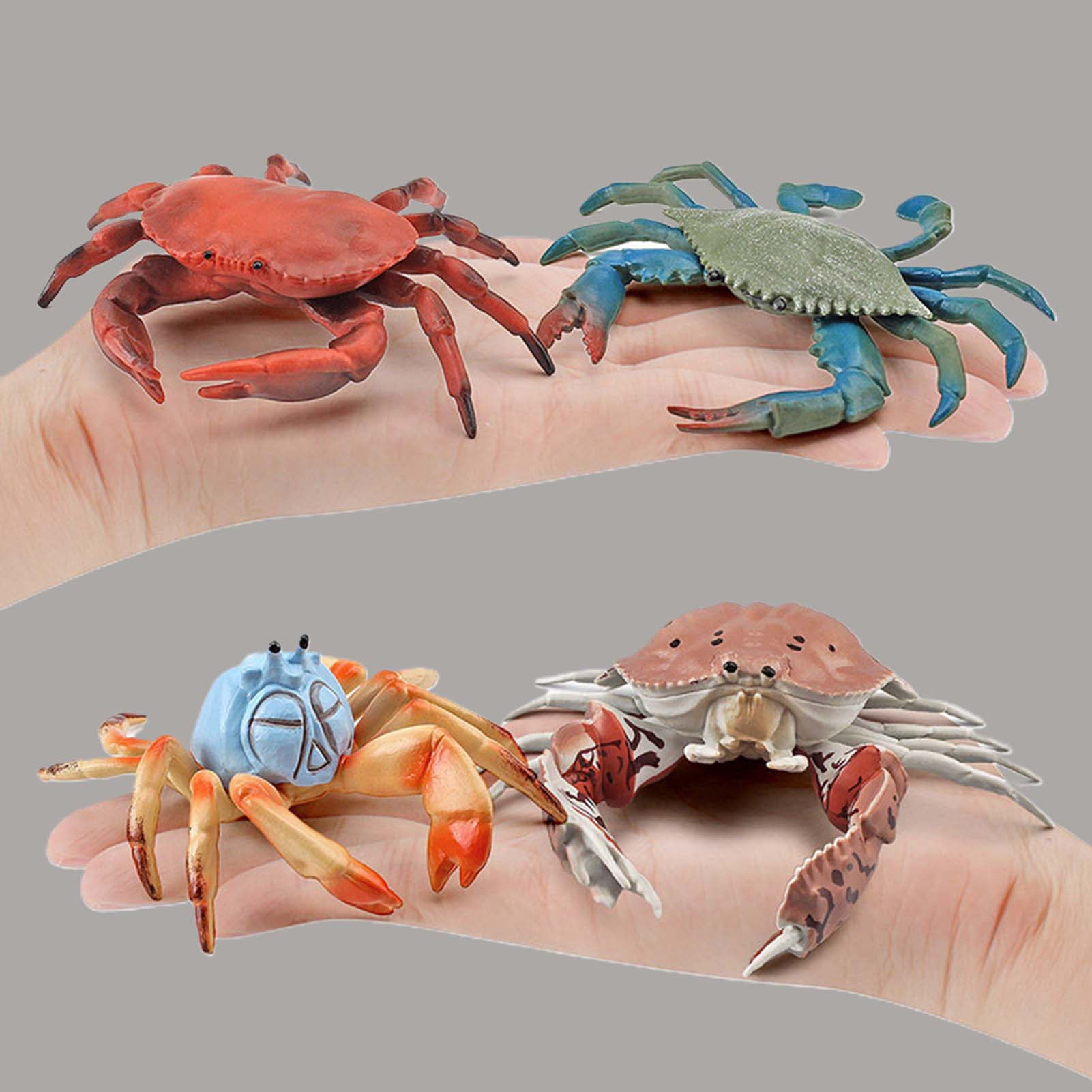 Vivid Simulation Crab Model - Solid Aquarium Miniature for Cognitive ...