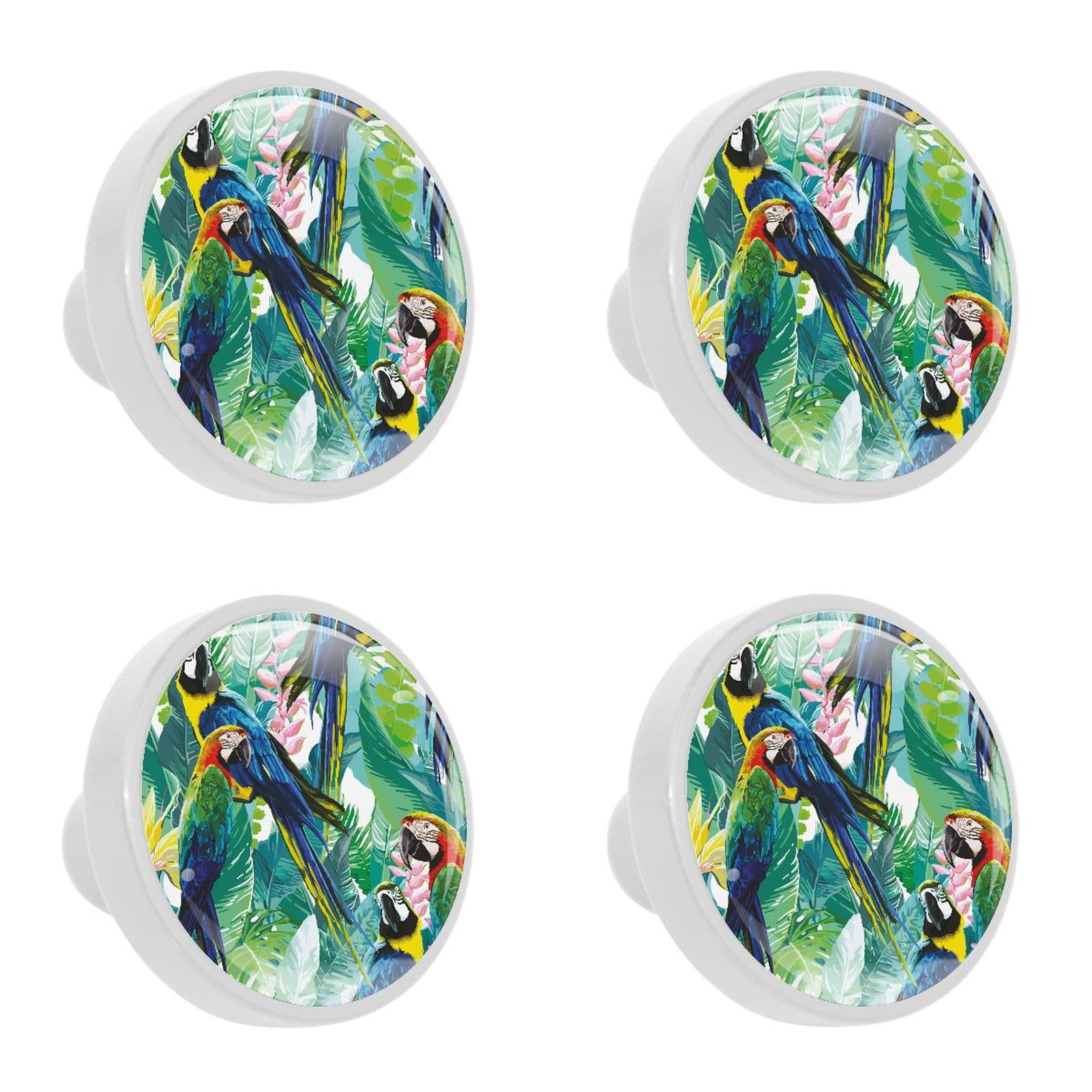 4 Pcs Parrot Knobs for Kitchen Cabinet Cupboard Dresser Bookcase Drawer ...