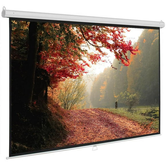 Pull Down Projector Screens