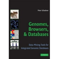 Time Granularities in Databases, Data Mining, and Temporal Reasoning (Hardcover) - Walmart.com