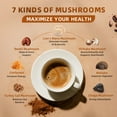 Mushroom Coffee Powder, Mushroom Supplement,for Energy, Focus, Memory ...