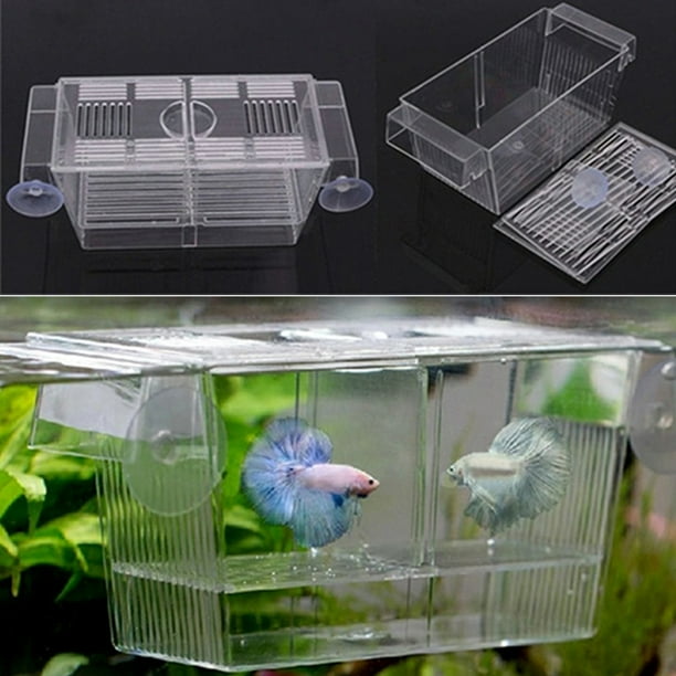 Walbest Aquarium Fish Tank Hatchery Incubator Breeding Box, Acrylic ...