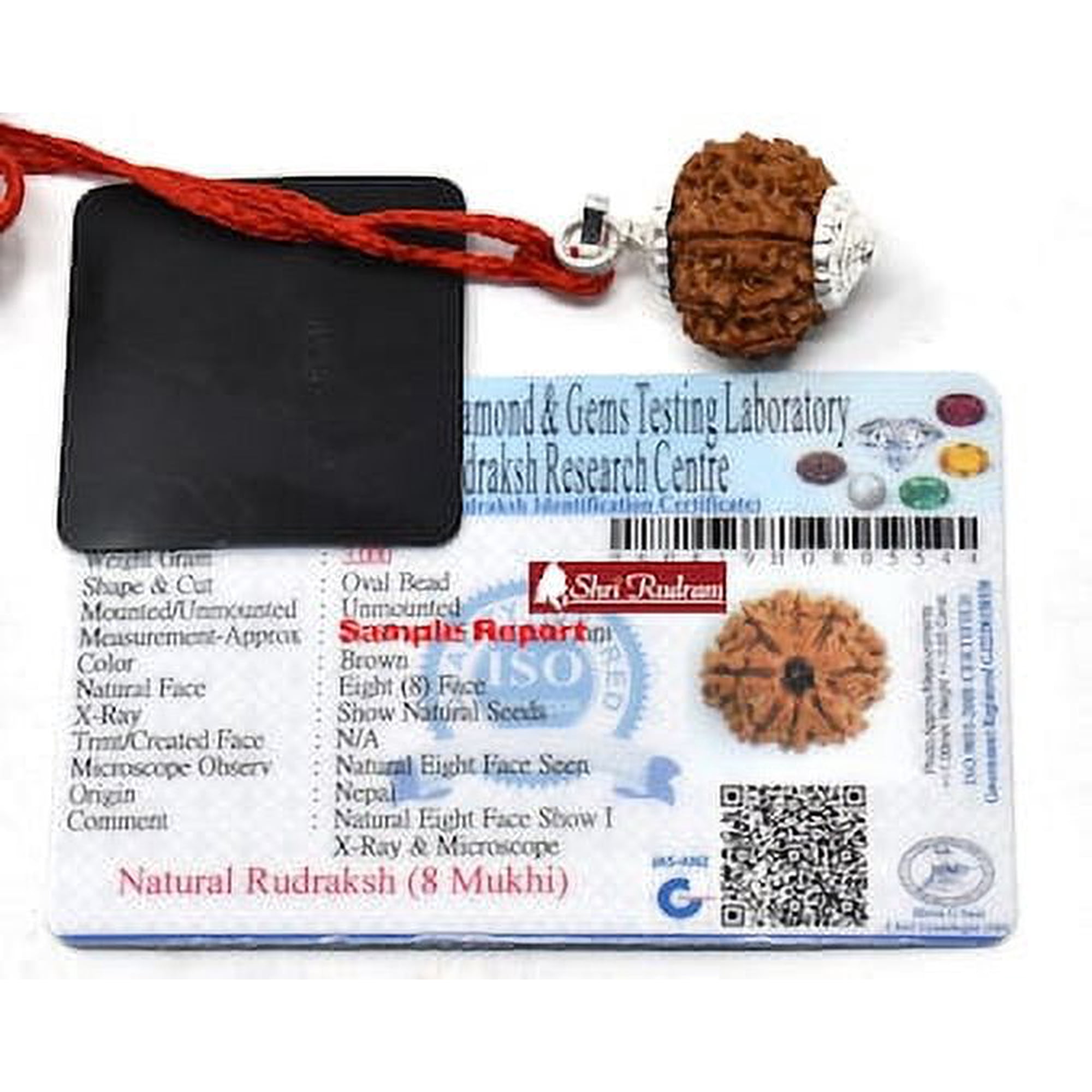 Click here for Shrirudram 8 Mukhi Rudraksha Nepal Bead prices