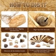 Piano Potato Fossil Dig Kit, dig up 12 Real Fossils & Dinosaur Bones ...