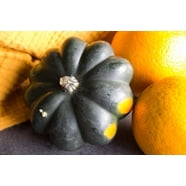 Rare Glass Gem Indian Corn Seeds - 40+ Seeds - Vibrant Translucent ...