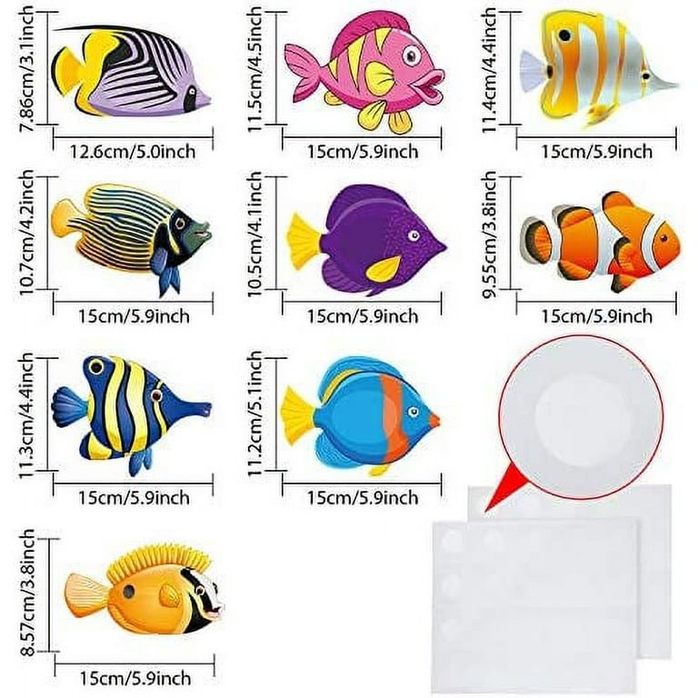 Colorful Tropical Fish School