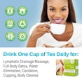 Lymphatic Natural Herbal Tea, Lymphatic Drainage, Ginger Blend For ... Lymphatic Natural Herbal Tea, Lymphatic Drainage, Ginger Blend For ...