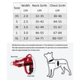 Chest Strap Harness for Medium to Large with Lightweight Comfort and ...