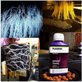 Power Roots - Root Strengthening Additive - 1 Liter Bottle by Plagron ...