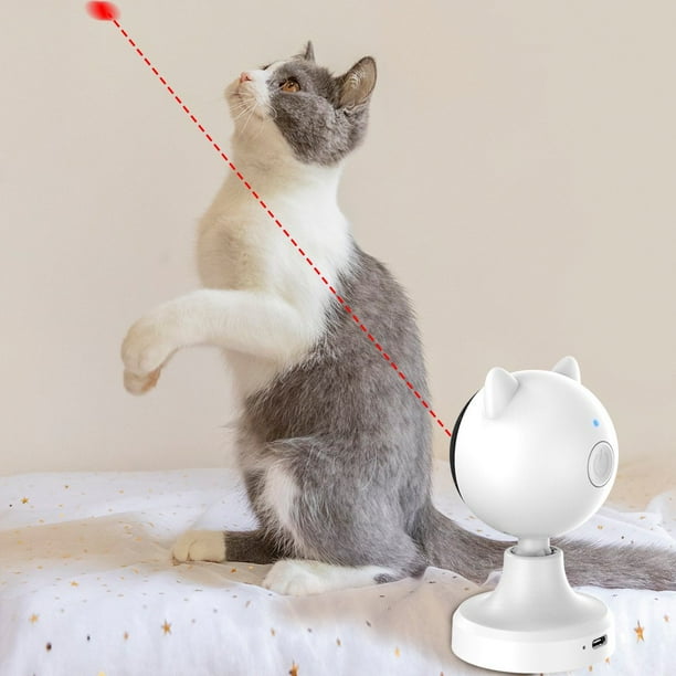 POINTERTECK New Motion Activated Cat Laser Toys Automatic for Indoor ...