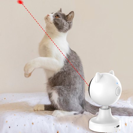 POINTERTECK New Motion Activated Cat Laser Toys Automatic for Indoor ...